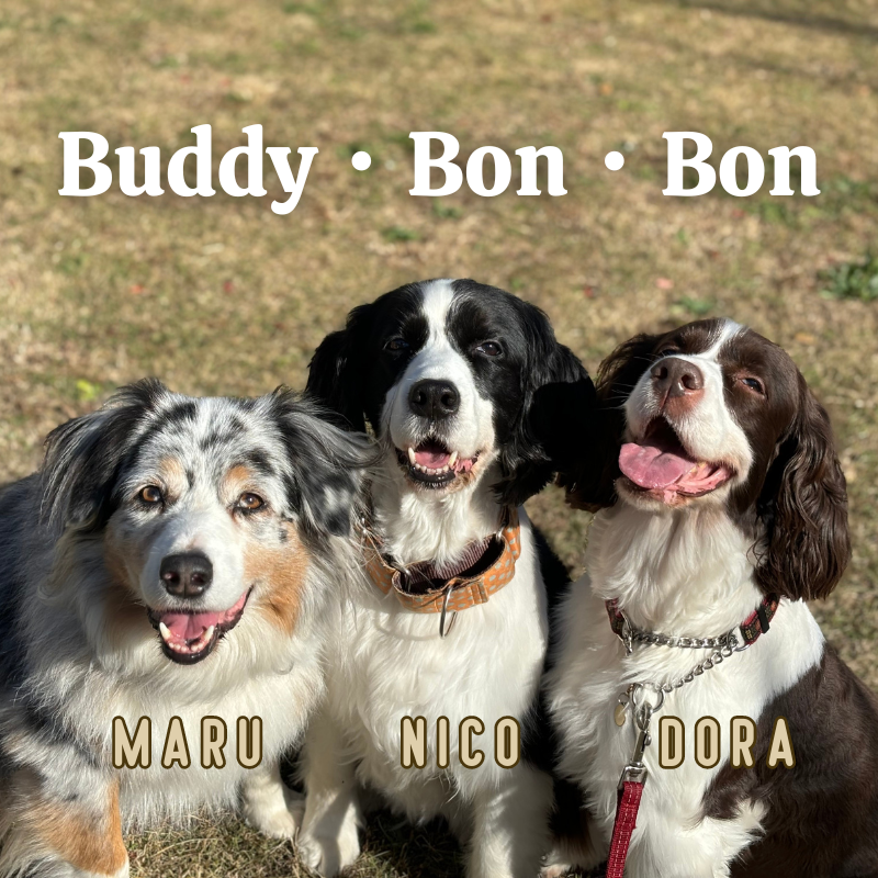 新スタート！ – Buddy・Bon・Bon合同会社